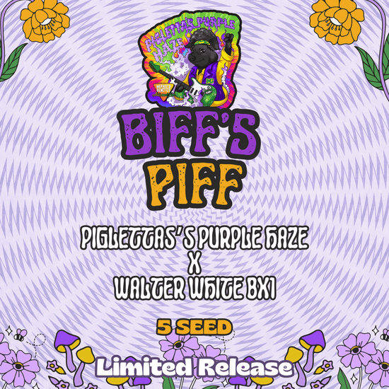 Biff's Piff – Mephisto Genetics